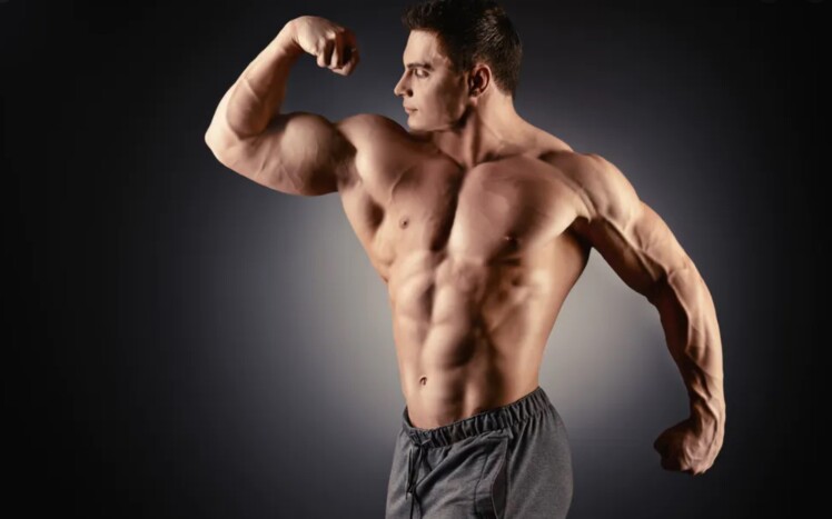 7 Tips for Running a Successful Bodybuilding Convention - The Frisky