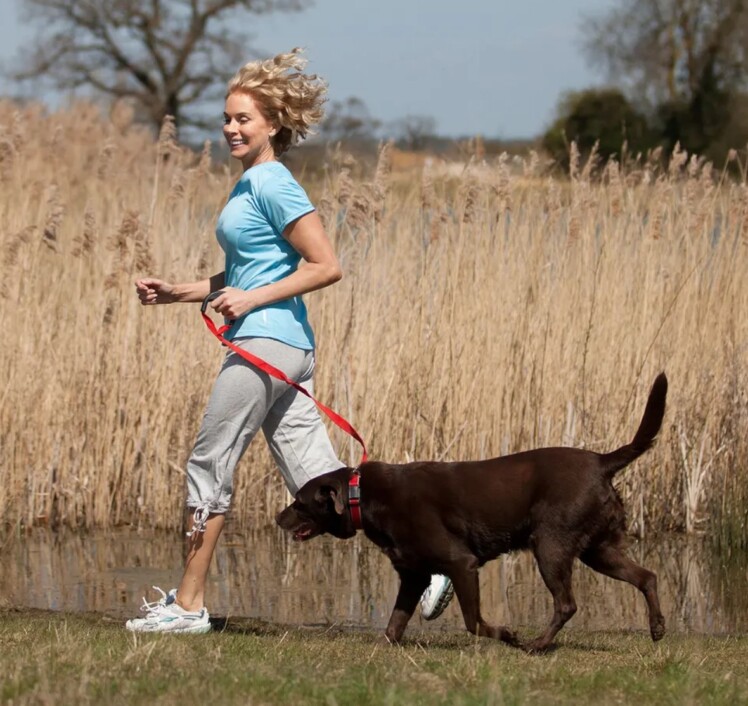 Everything You And Your Dog Need For Running Together - The Frisky