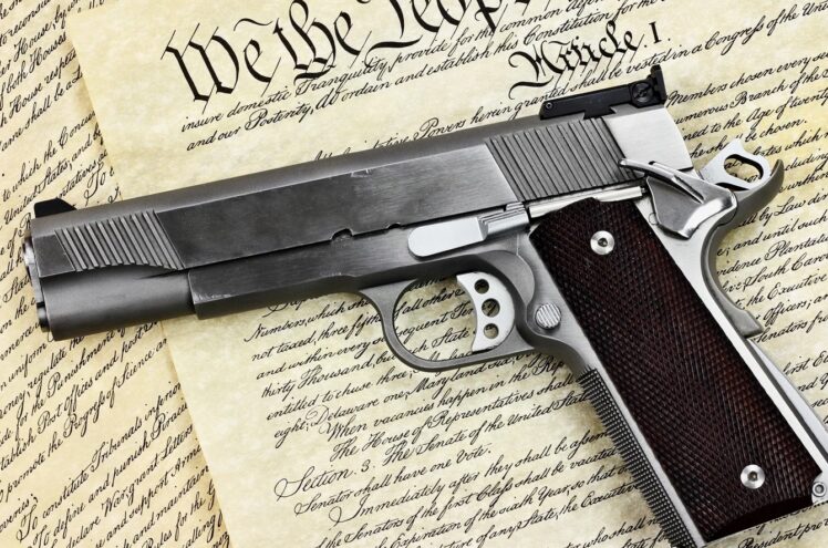 7 Components Of Firearms - The Frisky