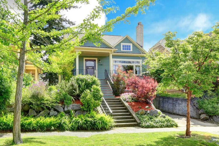 Do Trees Add Value to Your Property? - The Frisky