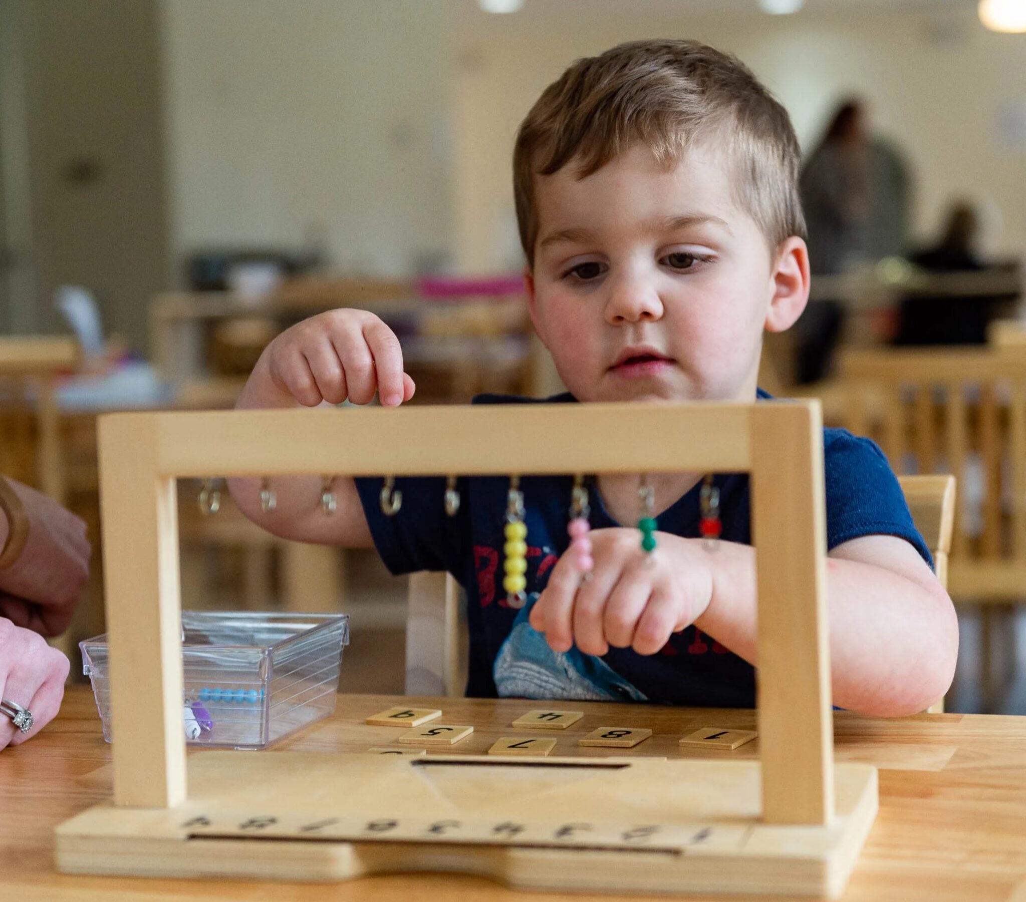 What Is The Montessori Method Of Teaching The Frisky