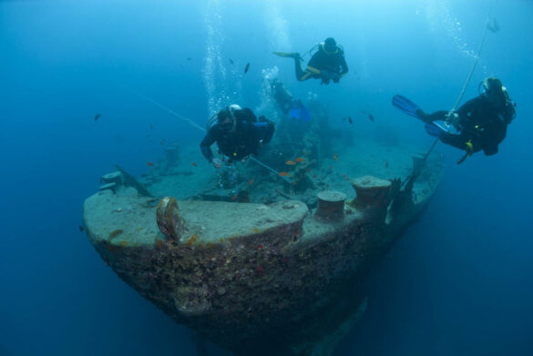 What Makes Red Sea the Perfect Liveaboard Location for Divers - The Frisky