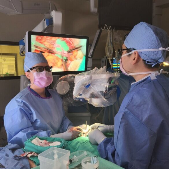 All Tech Geeks Need To Have These 5 Gadgets - The Frisky