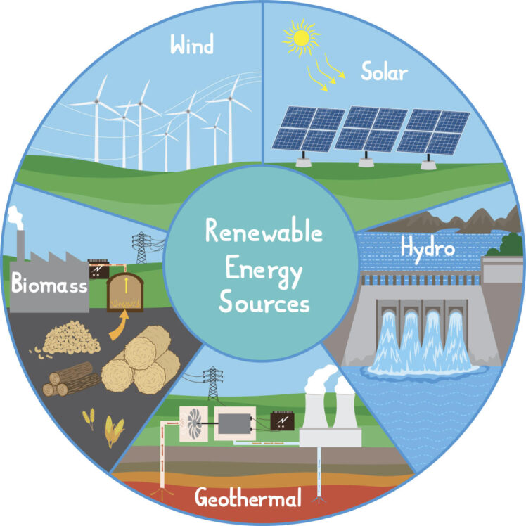 How Does Renewable Energy Benefit A Business? - The Frisky