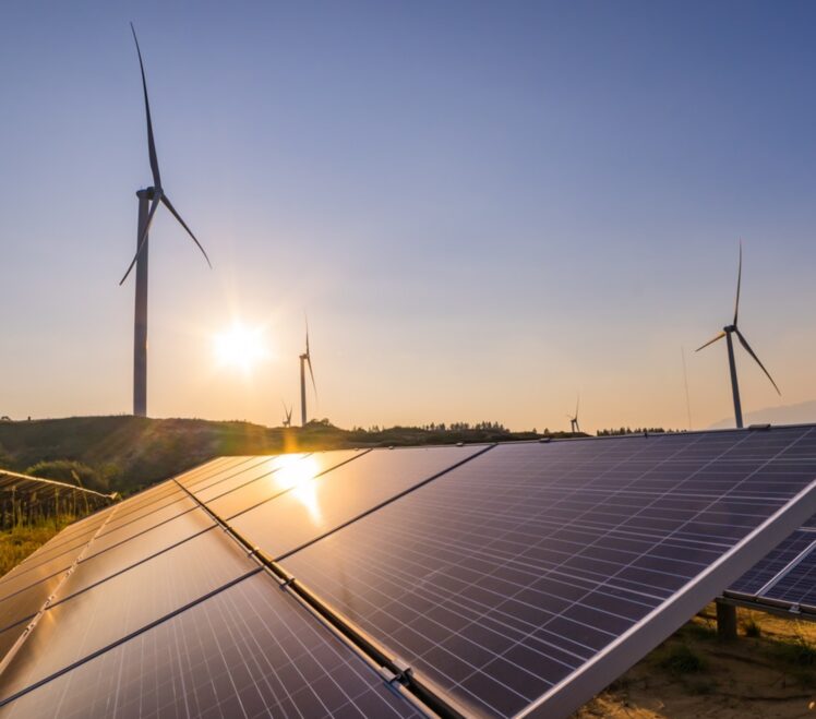 How Does Renewable Energy Benefit A Business? - The Frisky