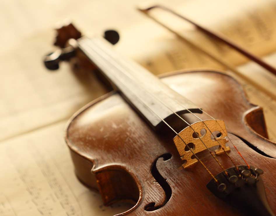 Top 8 Tips For Choosing The Right Viola for Beginners - The Frisky