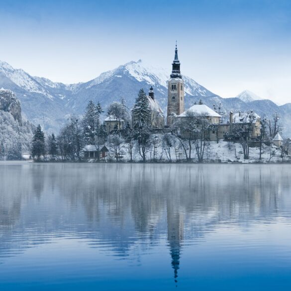 Deck the Halls: A Guide to Collecting Christmas Ornaments & Figurines ...