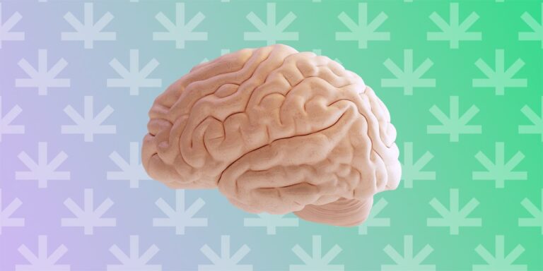 5 Ways CBD Affects Your Brain - The Frisky