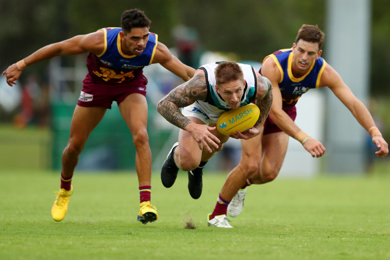 AFL Footy Tipping: Rules and Tips - The Frisky