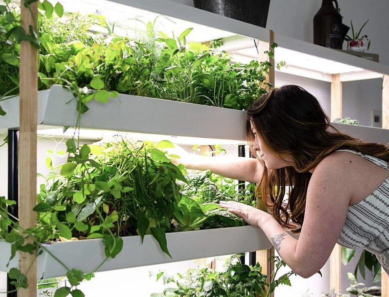 Comprehensive Guide To The Indoor Gardening System - The Frisky