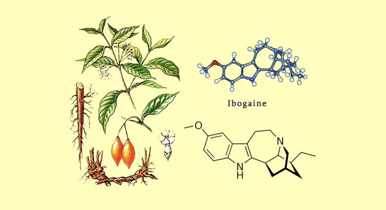 Ibogaine Treatment, Changing the Way We Look at Addiction Treatment ...