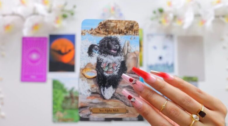5 Best Tarot Reading Websites 2024 - A Gateway to Your Future