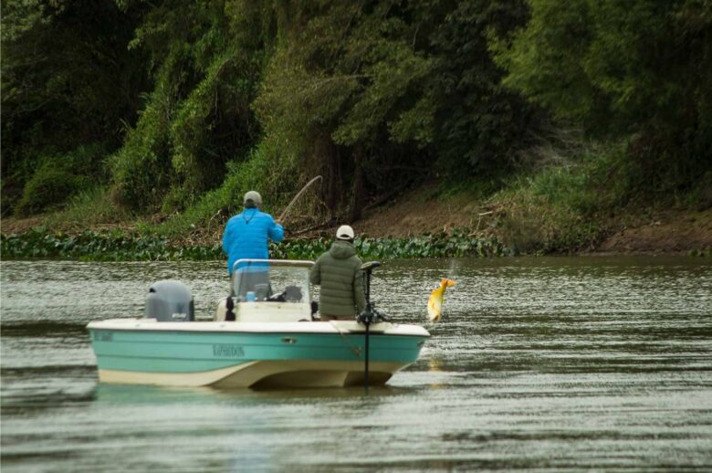 Fly Fishing Argentina: Unforgettable Adventures Await - The Frisky