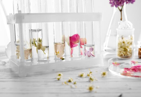 Scented Bonds: Perfume Making as a Unique Team Building Activity - The ...