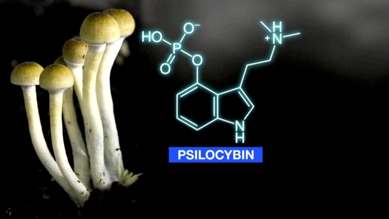 How Science Is Rediscovering the Healing Properties of Psilocybin ...