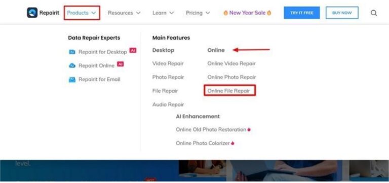 Comprehensive Guide to Repairing PDF Files with Wondershare Repairit ...