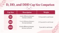 D Cup Breasts – Perfect D Cup Size Example, Comparisons & Best D Cup Bras